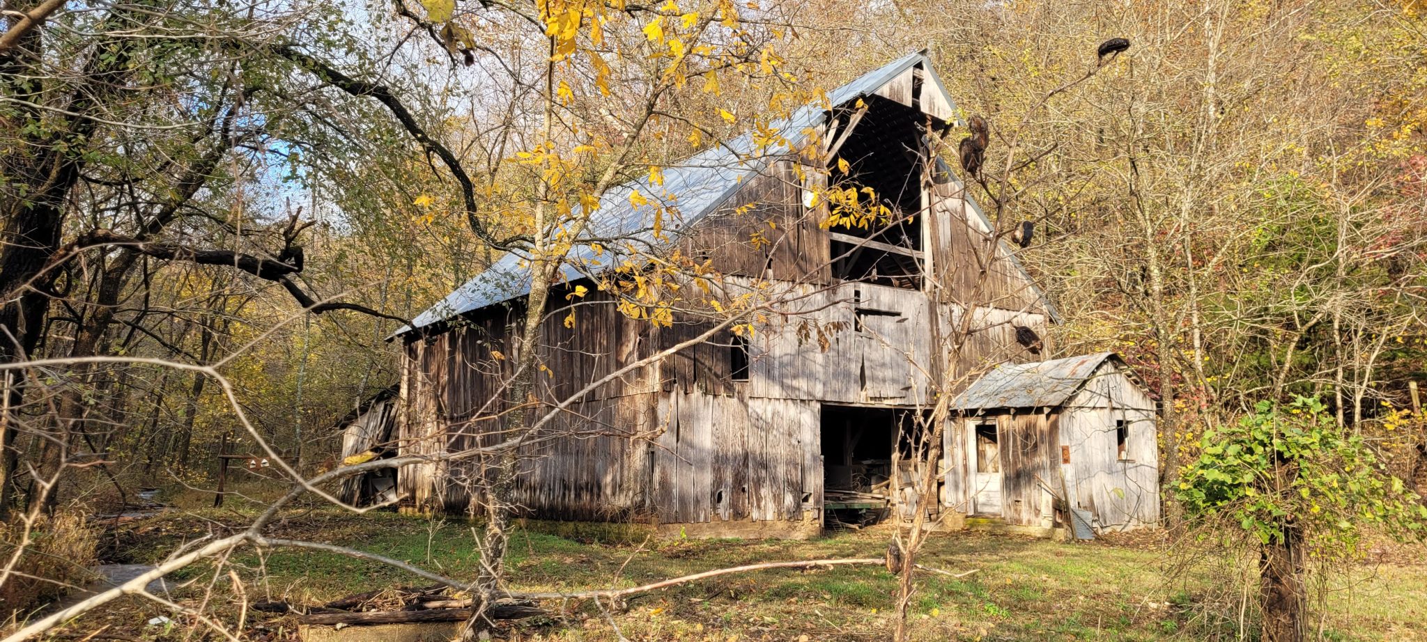 Higgins Family Farm